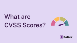 Understanding CVSS Base Scores | Balbix