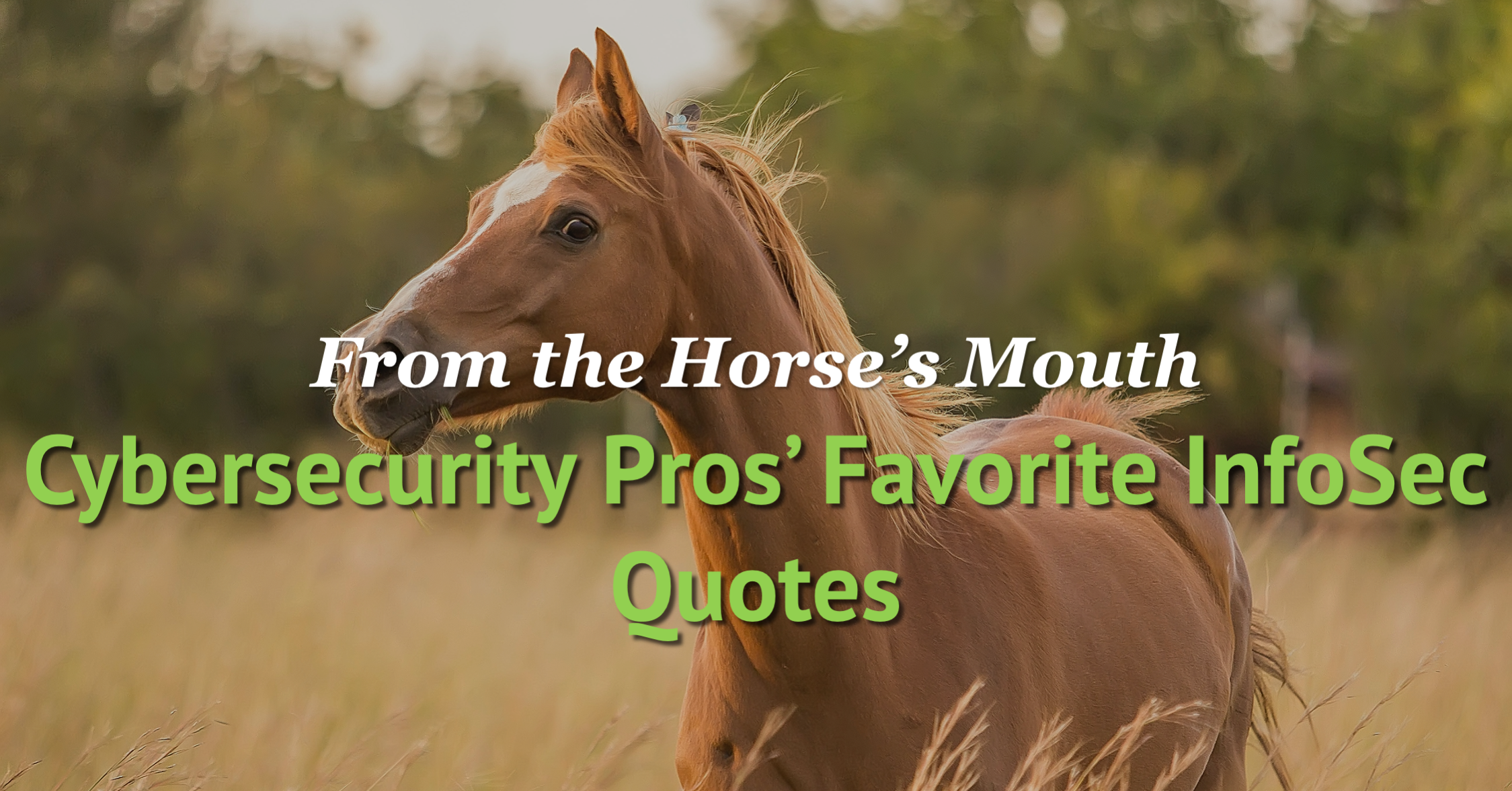 From the Horse’s Mouth: Cybersecurity Pros’ Favorite InfoSec Quotes ... From the Horse’s Mouth: Cybersecurity Pros’ Favorite InfoSec Quotes ...