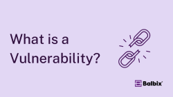 What is a Zero Day Exploit? Definition and Examples | Balbix