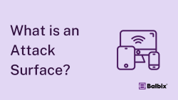 What is a Zero Day Exploit? Definition and Examples | Balbix