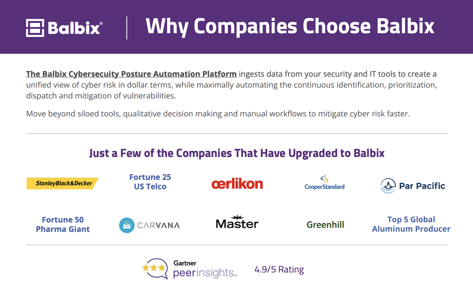 Top Reasons Companies Choose Balbix