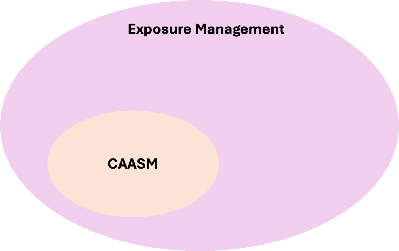 CAASM: Dead-End Approach or Worthwhile Journey?